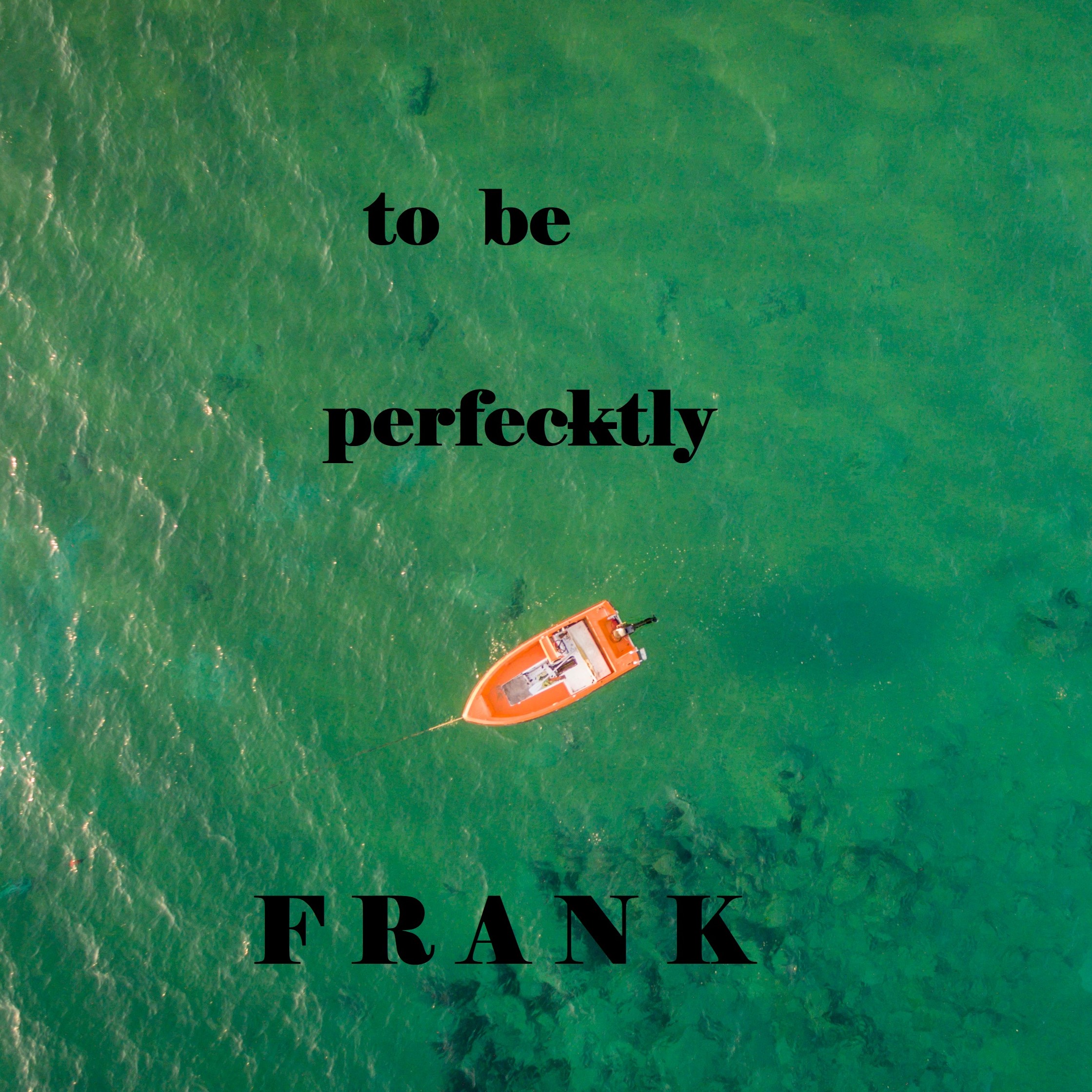 TO BE PERFECkTLY FRANK – debbie does drama
